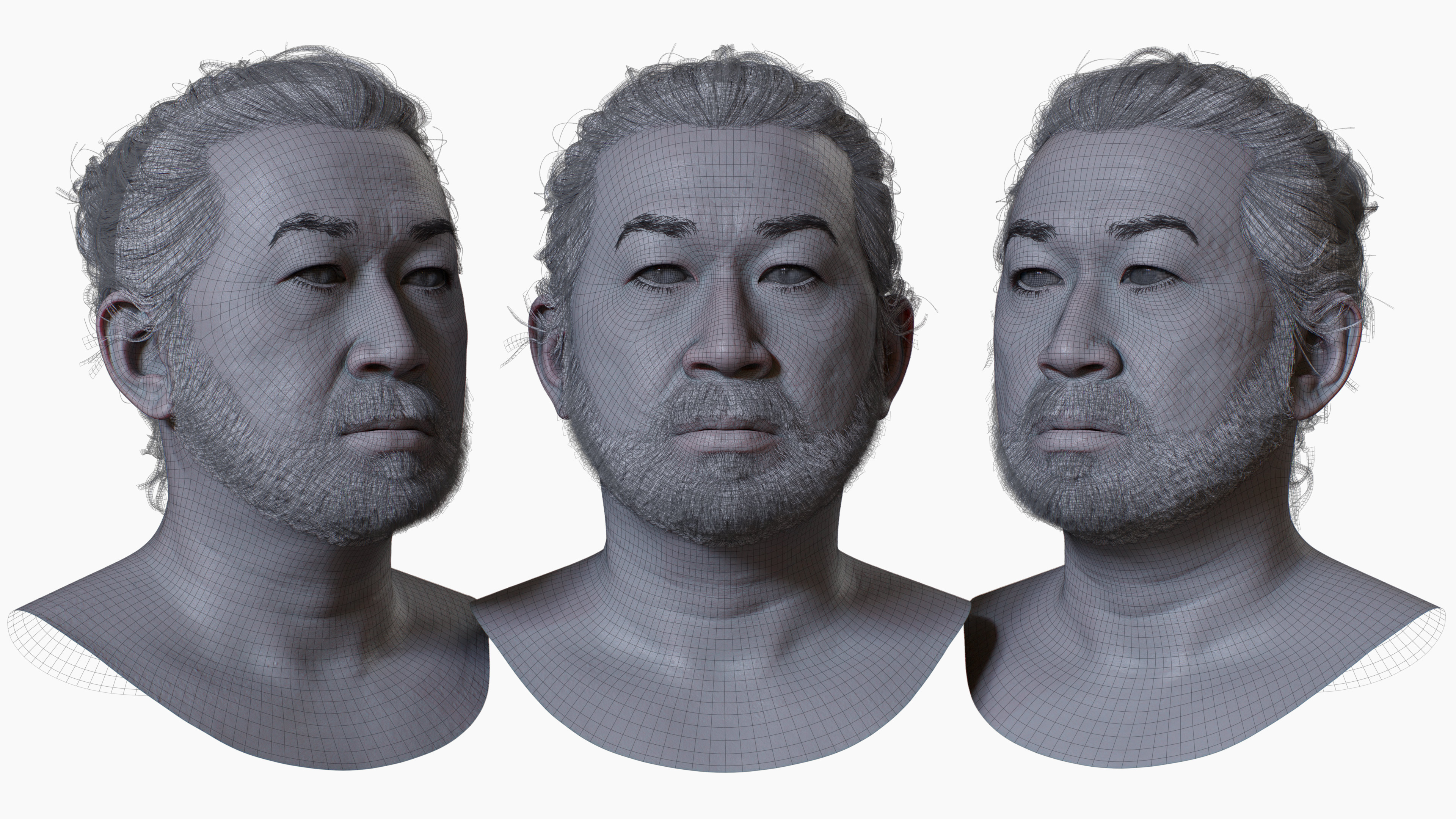 Realistic female head 3d model with hair